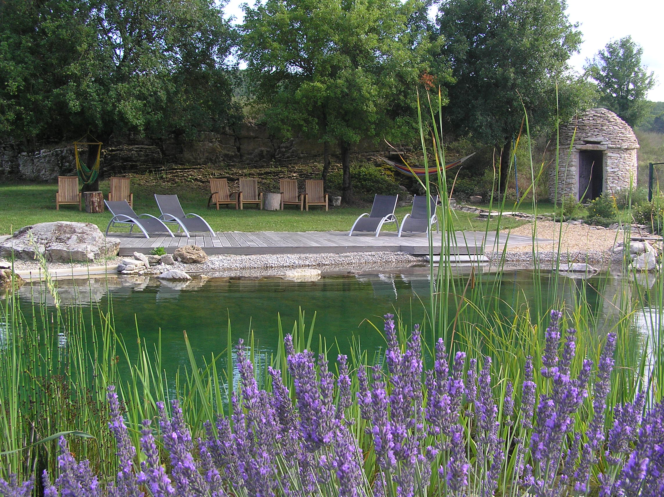 Natural swimming pool - Mas de la Baou - Locations saisonnières de ...